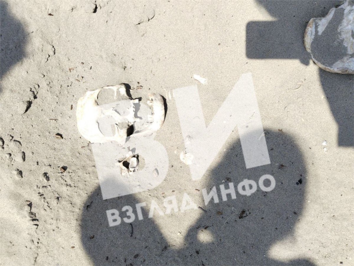 Человеческие кости нашли на берегу Красноярского водохранилища ...